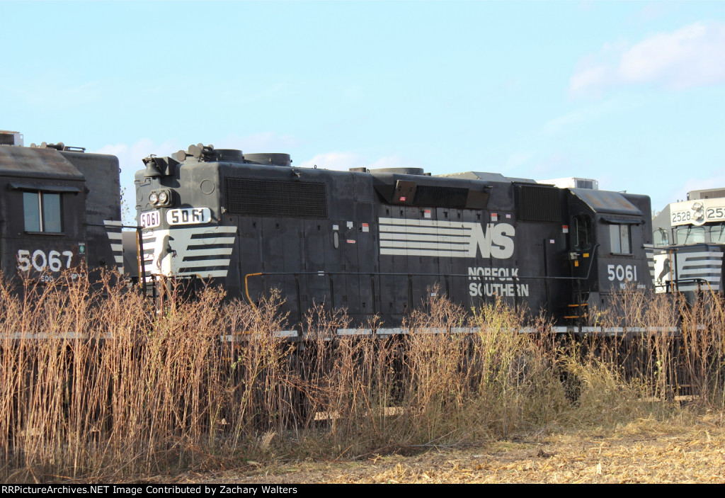 NS 5061